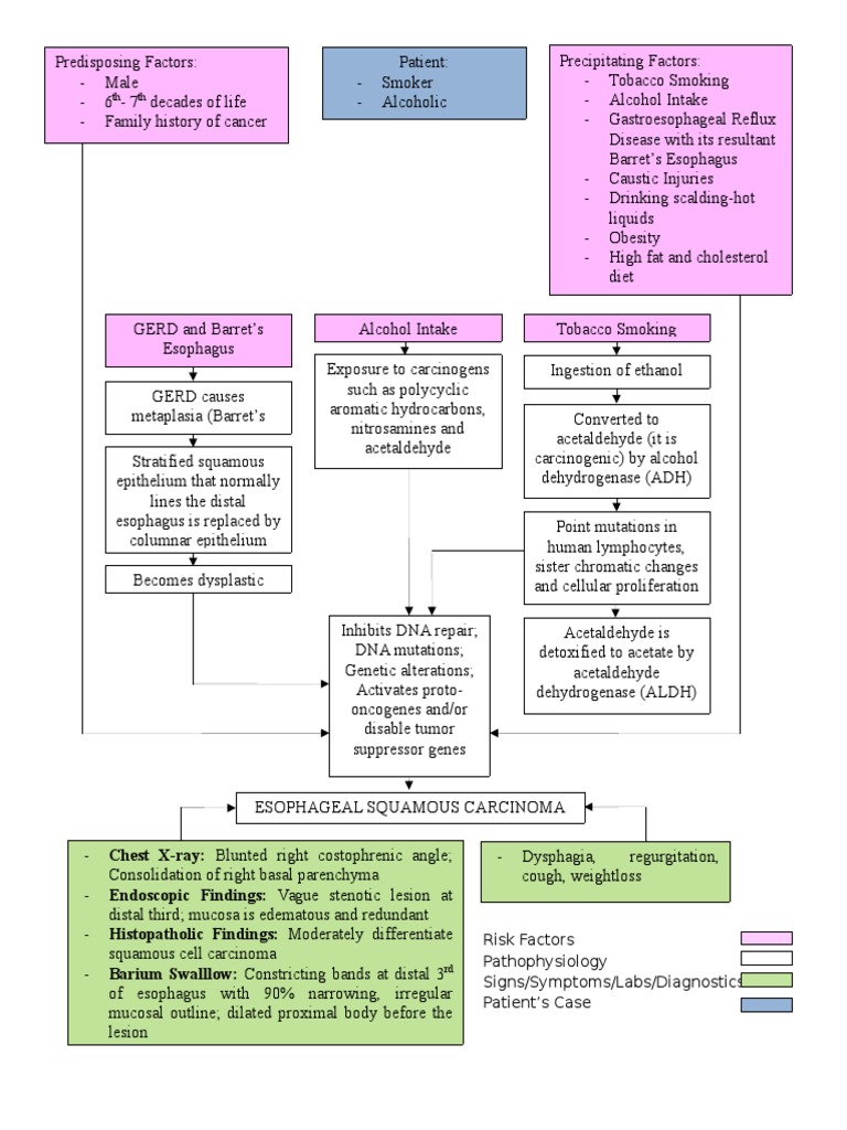Pathophysiology of Esophageal CA | Esophagus | Gastroesophageal Reflux ...