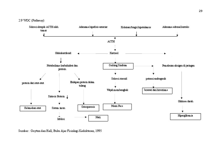 Pathway Cushing | PDF | Kesehatan Holistik | Sains & Matematika
