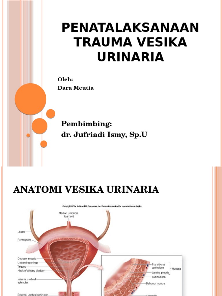 Penatalaksanaan Trauma Vesika Urinaria 1 | PDF