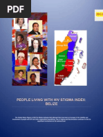 FLIPL Flowchart 041005 | PDF | Government | Justice