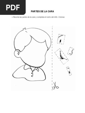 Partes De La Cara Para Imprimir
