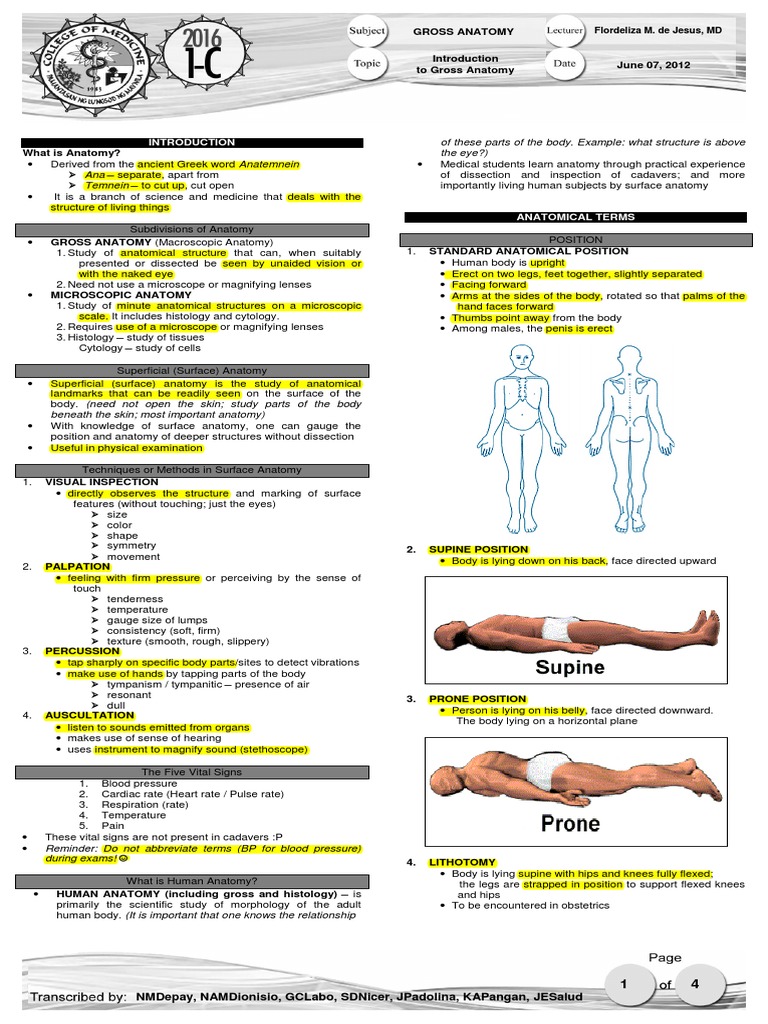 01-01. Introduction To Gross Anatomy | PDF | Anatomical Terms Of Motion ...