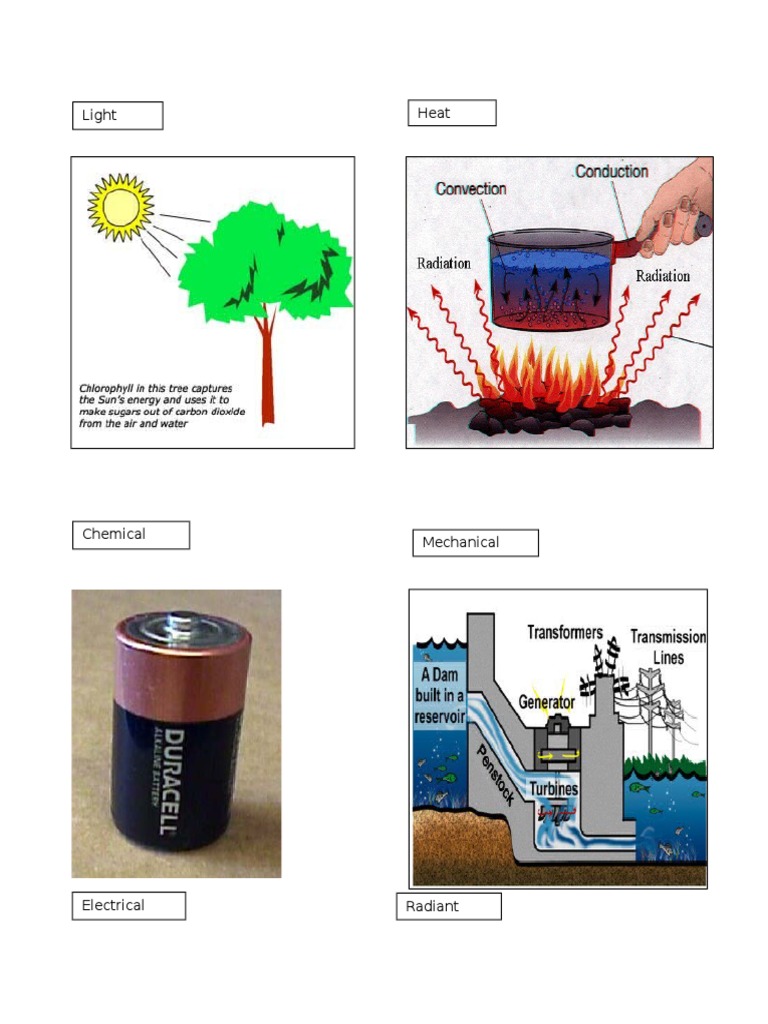 Types of Energy: Science Project | PDF | Technology & Engineering