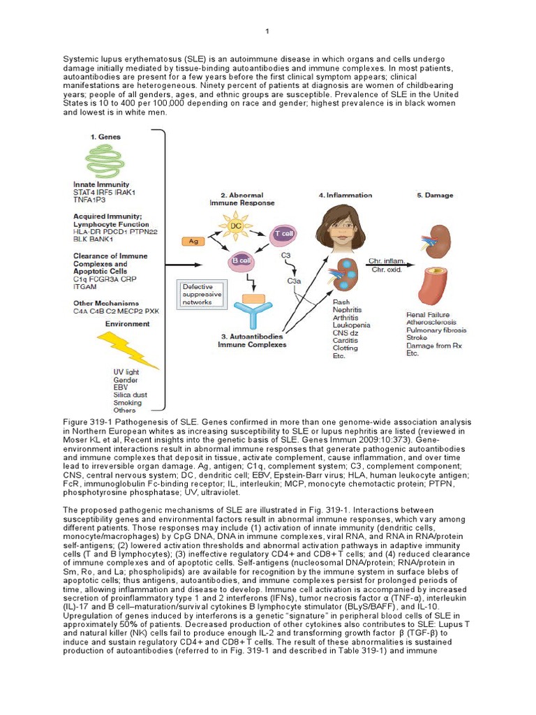 Harrison SLE | PDF | Systemic Lupus Erythematosus | Immune System