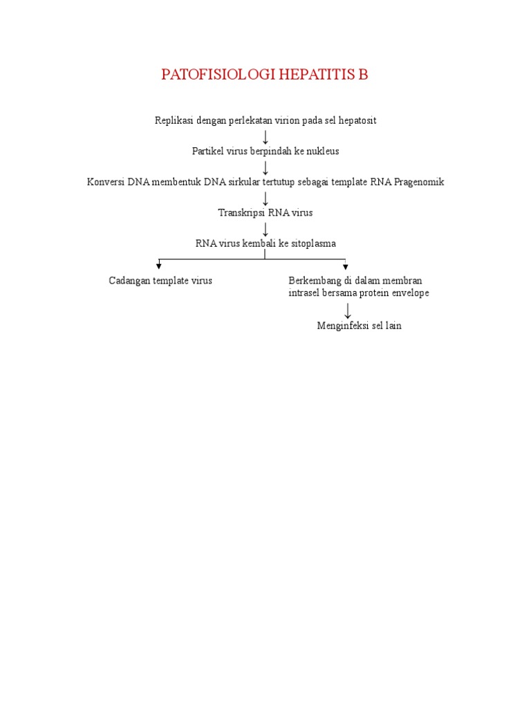 Patofisiologi Hepatitis | PDF
