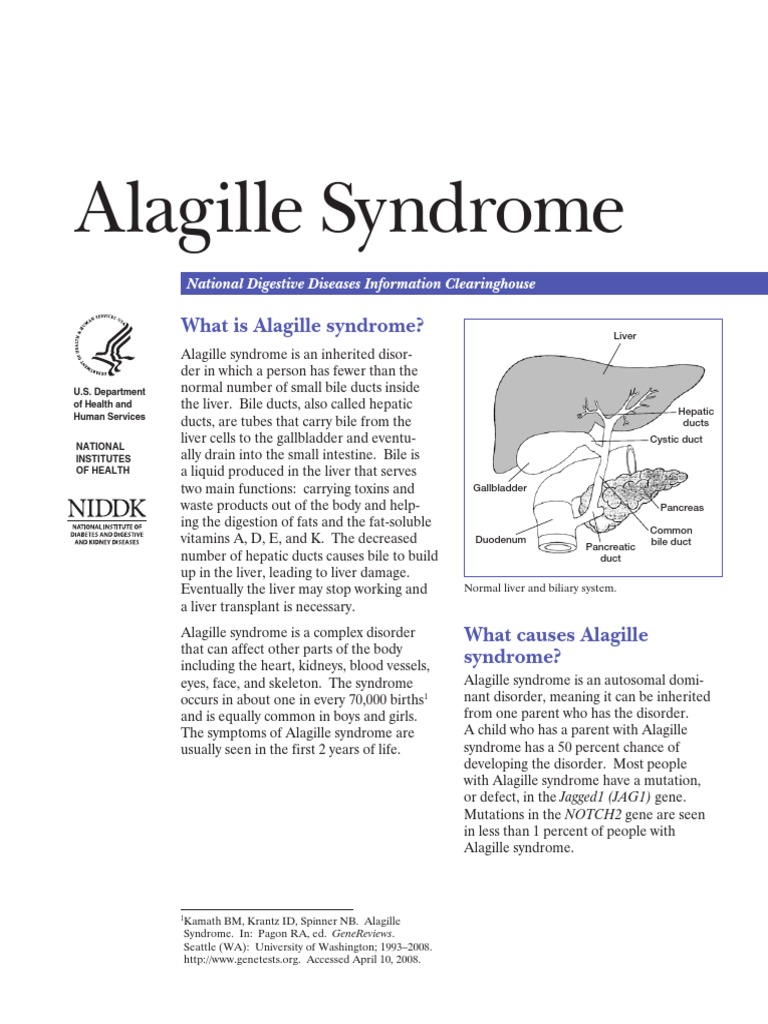 Alagille Syndrome | PDF | Liver | Bile