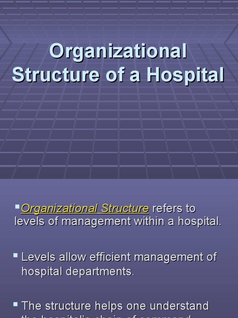 Hospital Organizational Structure Overview | PDF