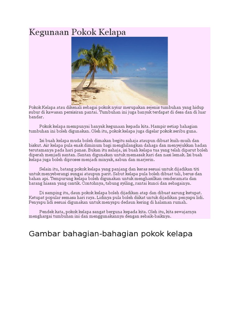 Aku Sebatang Pokok Kelapa Sawit Tahun 4 Bahagian Pokok Kelapa Jika