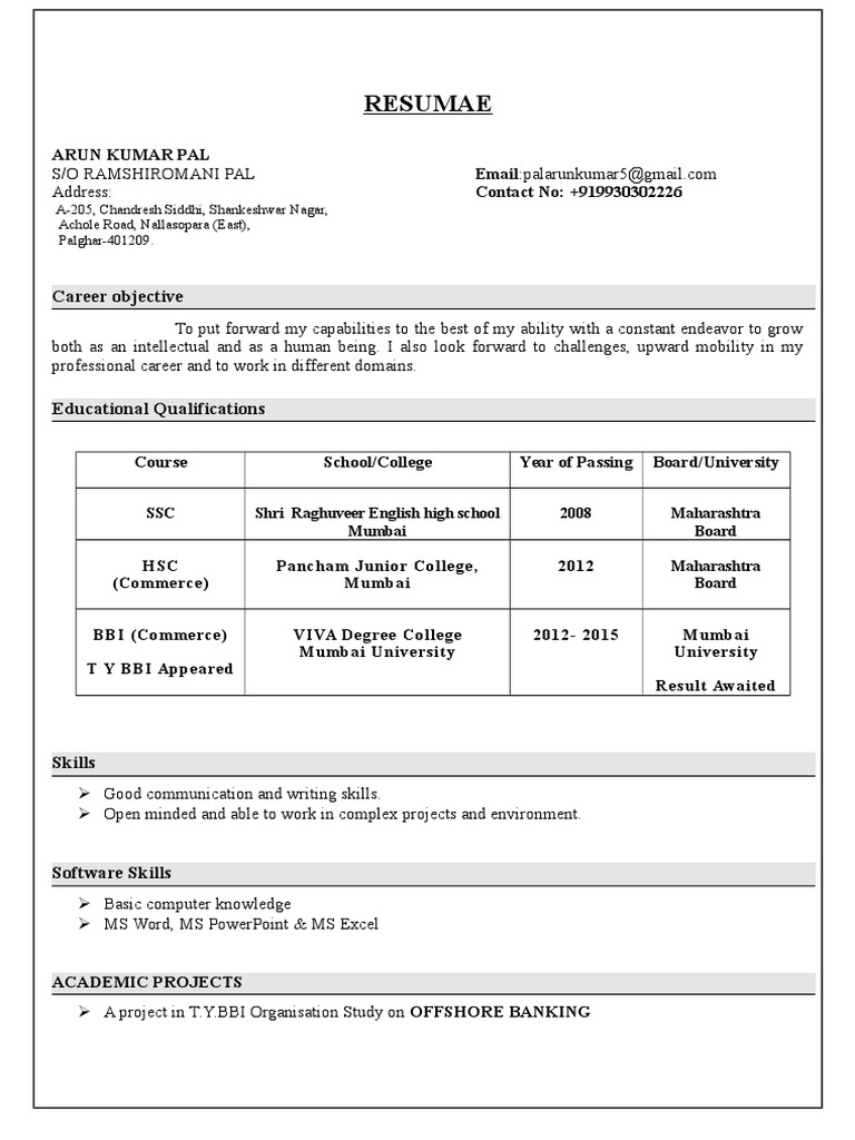 Arun Pal Resumae | PDF