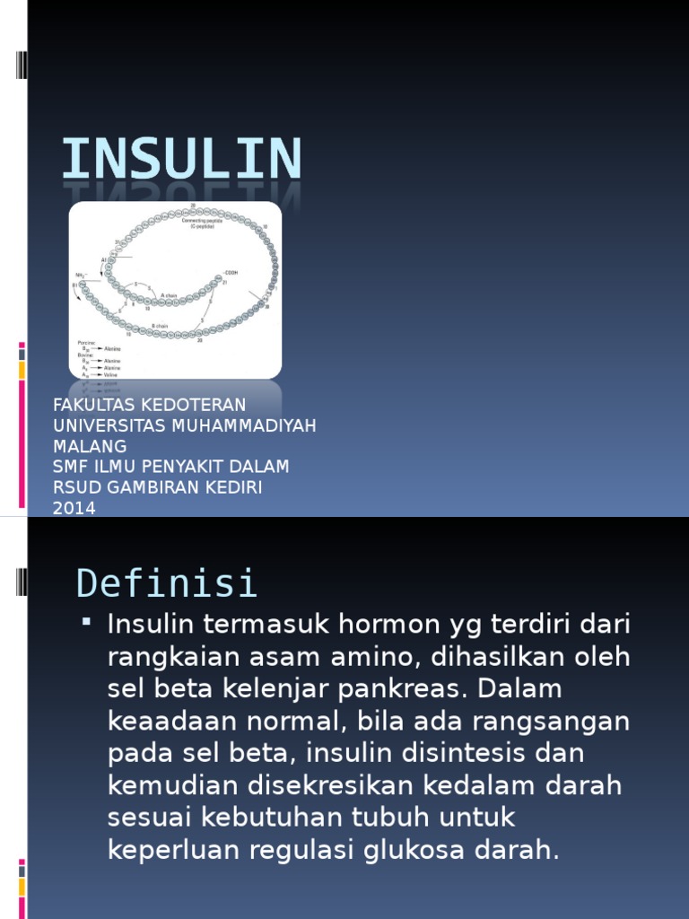 Terapi Insulin - Purna | PDF