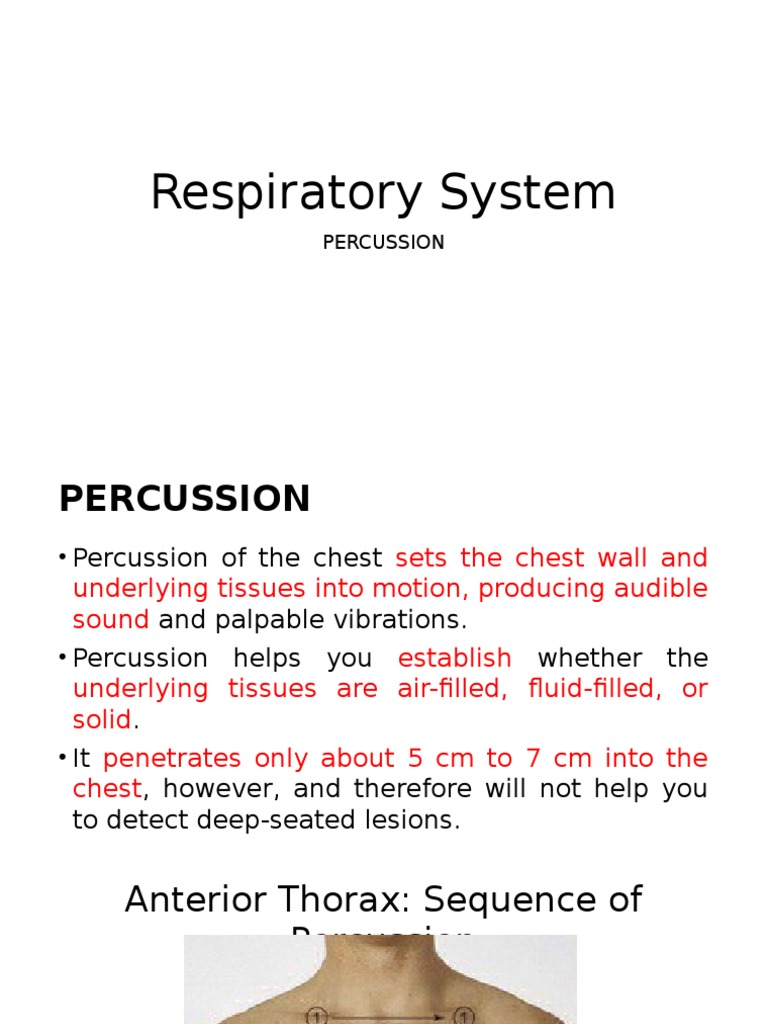 Chest Percussion Techniques and Notes | PDF | Respiratory System | Medicine