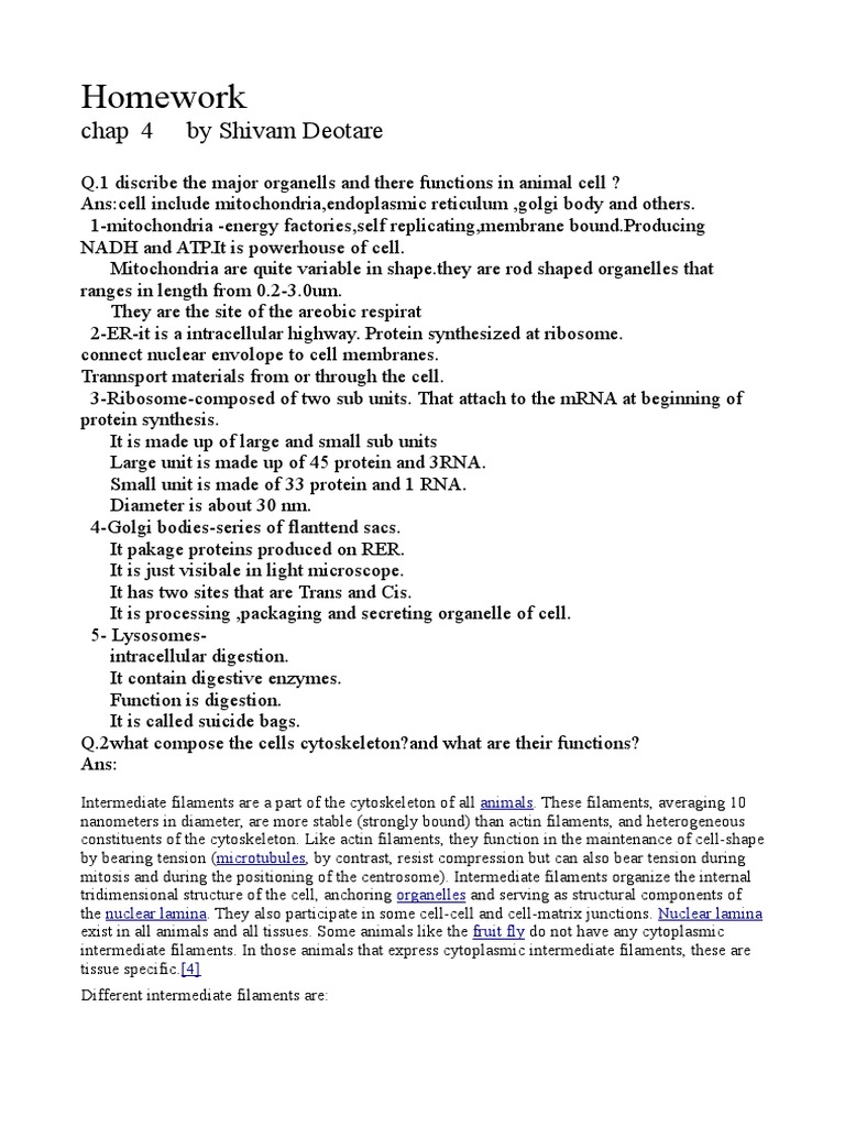 Homework: Chap 4 by Shivam Deotare | PDF
