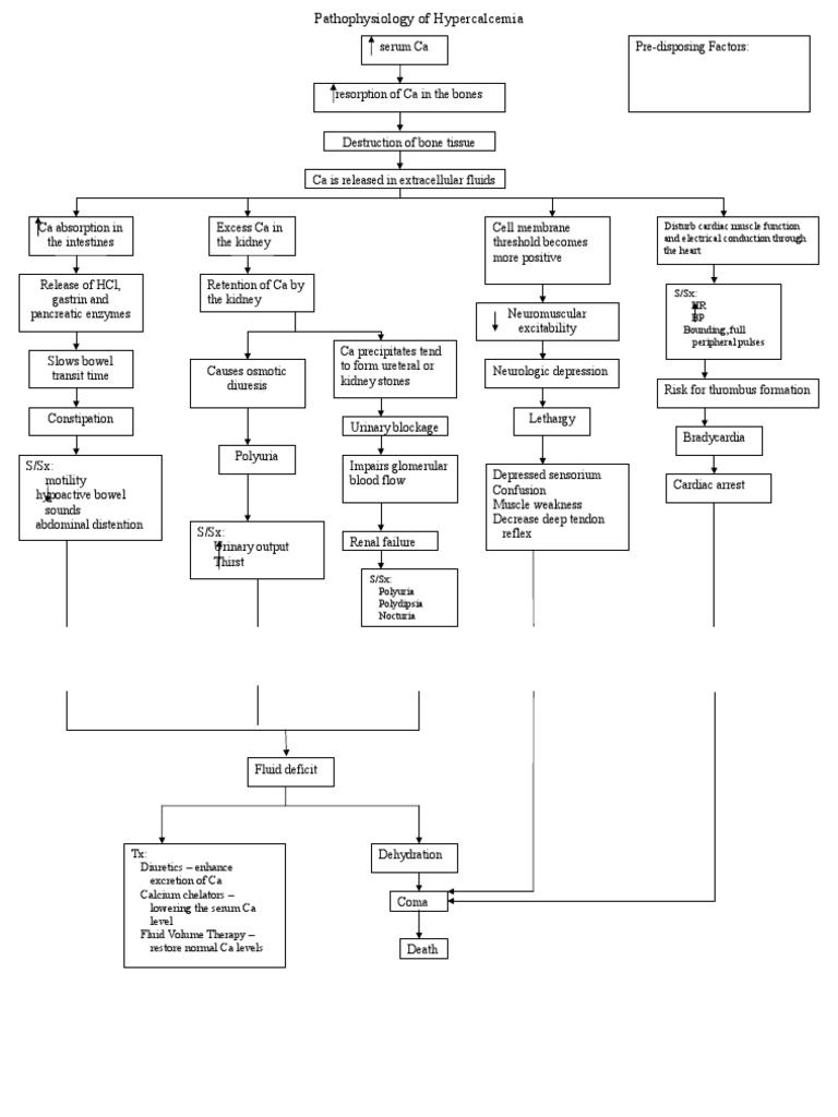 Pathophysiology of Hypercalcemia | PDF | Medical Specialties | Calcium