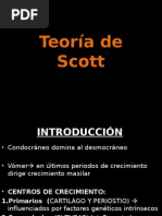 Teoria de Enlow | PDF | Cráneo | Hueso