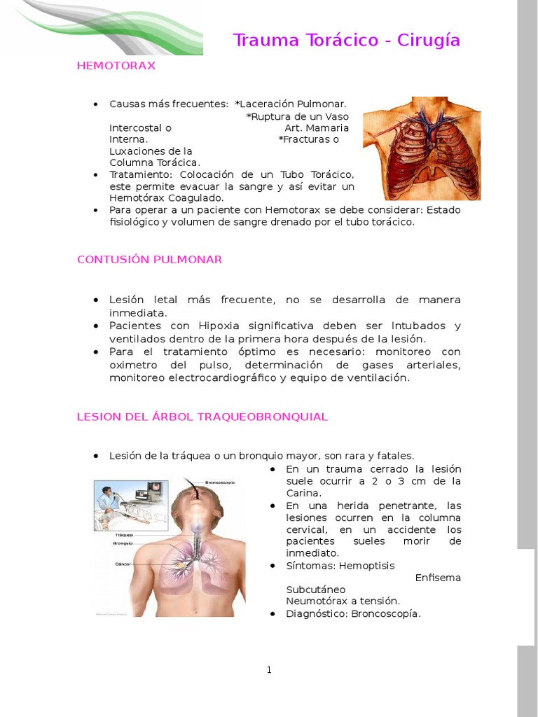 HEMOTORAX | PDF | Lesión | Medicina
