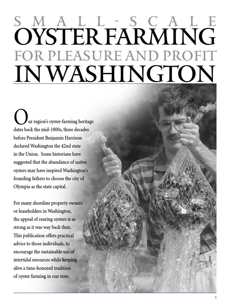 Small Scale Oyster Farming | PDF | Oyster | Spawn (Biology)
