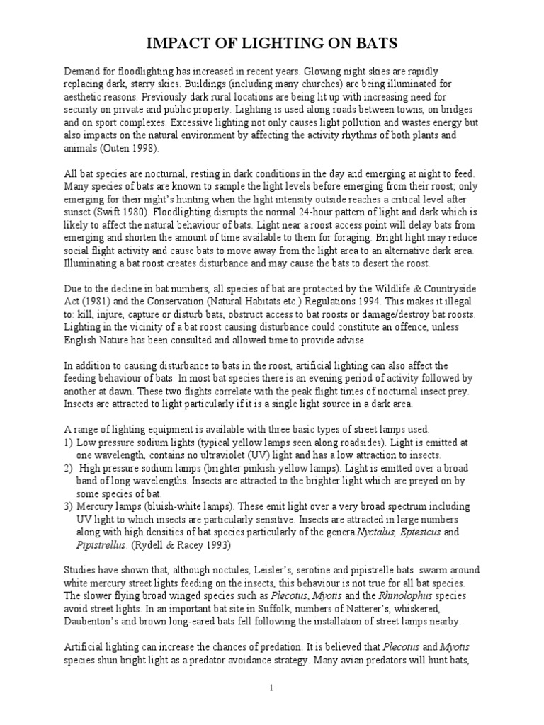 Lighting and Bats | Download Free PDF | Bat | Lighting