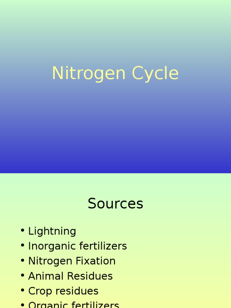 Nitrogen Cycle | PDF