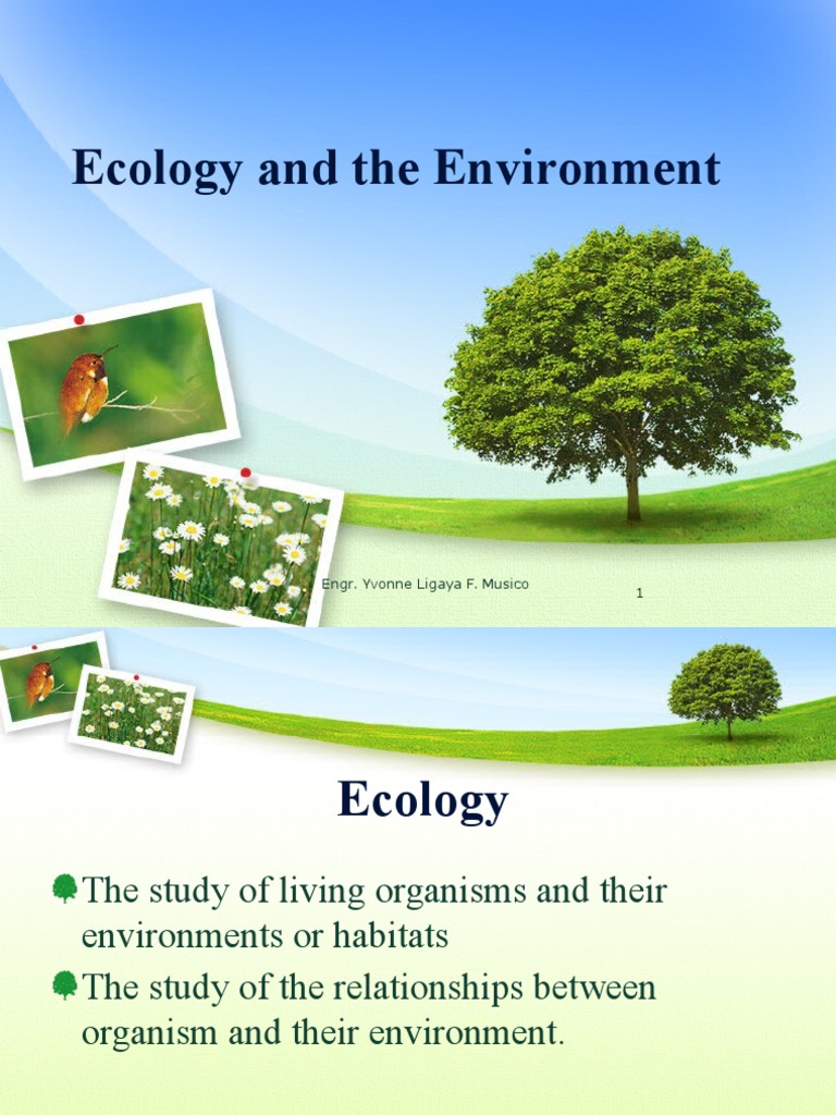 Ecology and The Environment | PDF | Atmosphere Of Earth | Food Web
