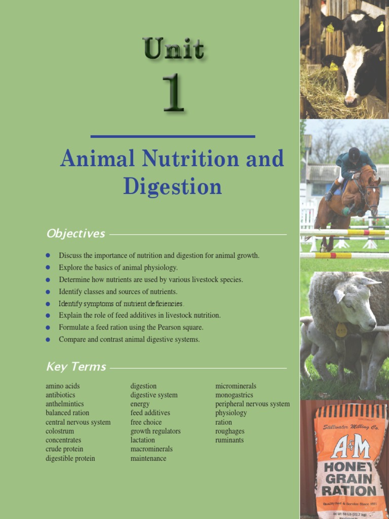 Animal Nutrition and Digestion | PDF | Vitamin | Nutrition