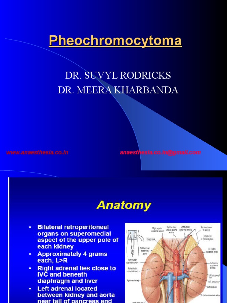Pheochromocytoma | Medical Specialties | Drugs