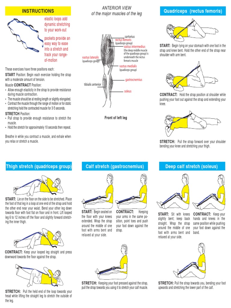 Stretch Strap Exercises | PDF | Foot | Anatomical Terms Of Motion