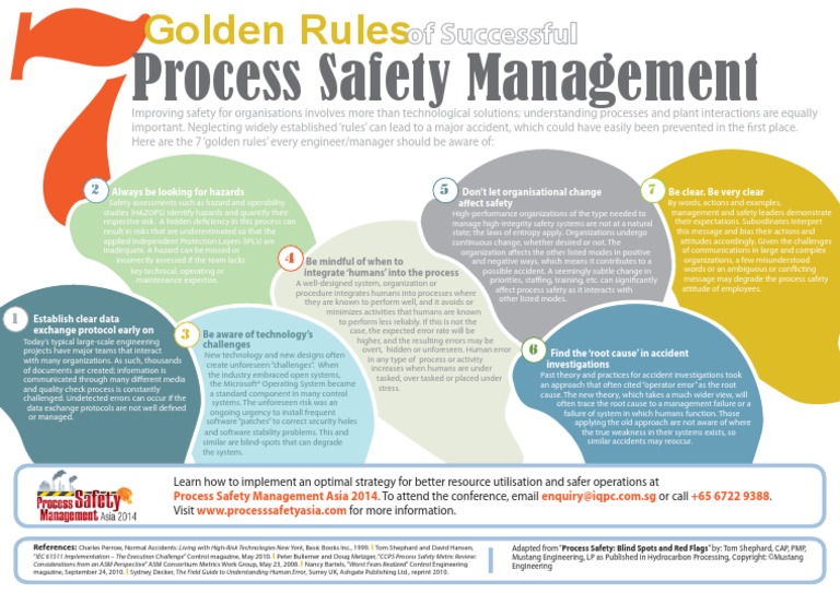 Golden Rules of Process Safety | PDF | Error | Risk