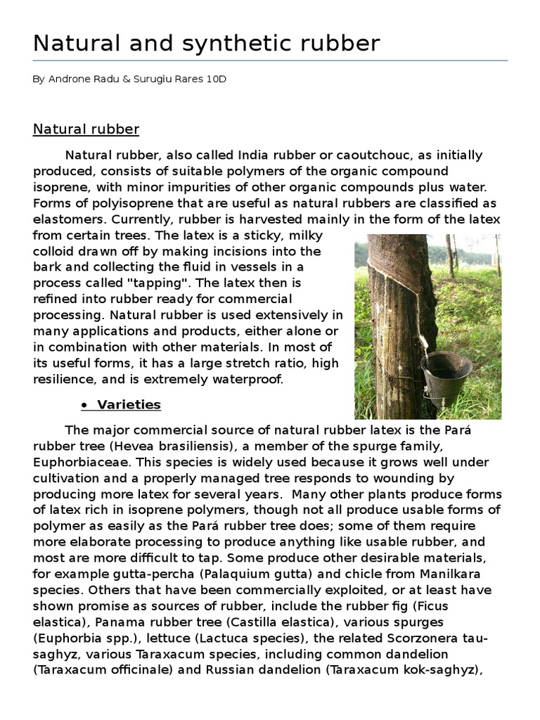 Natural and Synthetic Rubber | PDF | Natural Rubber | Materials Science