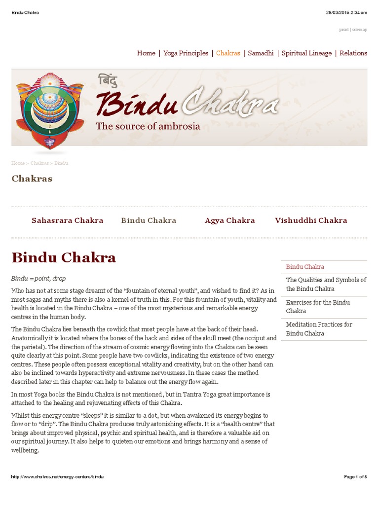 Bindu Chakra | Chakra | Yoga