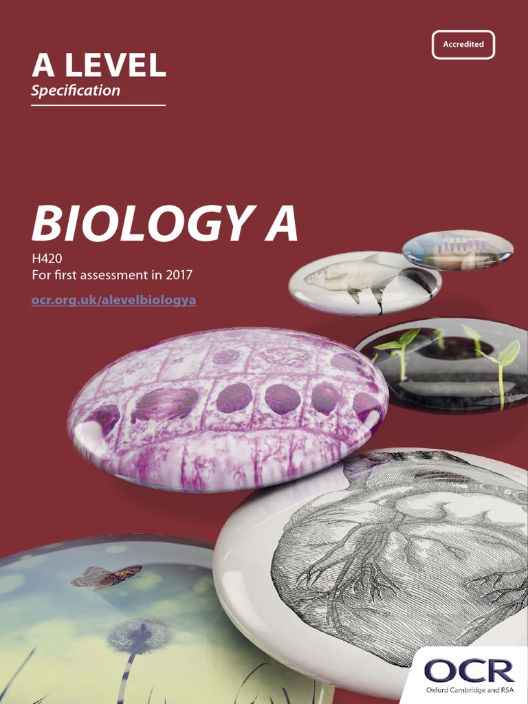 Specification Accredited A Level Gce Biology A h420 | Download Free PDF ...