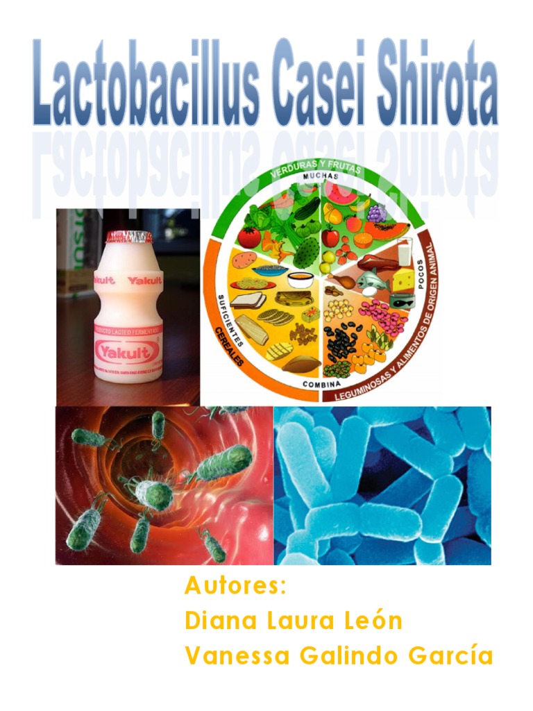 004 Lactobacillus Casei Shirota | PDF | Productos lácteos | Tripa flora