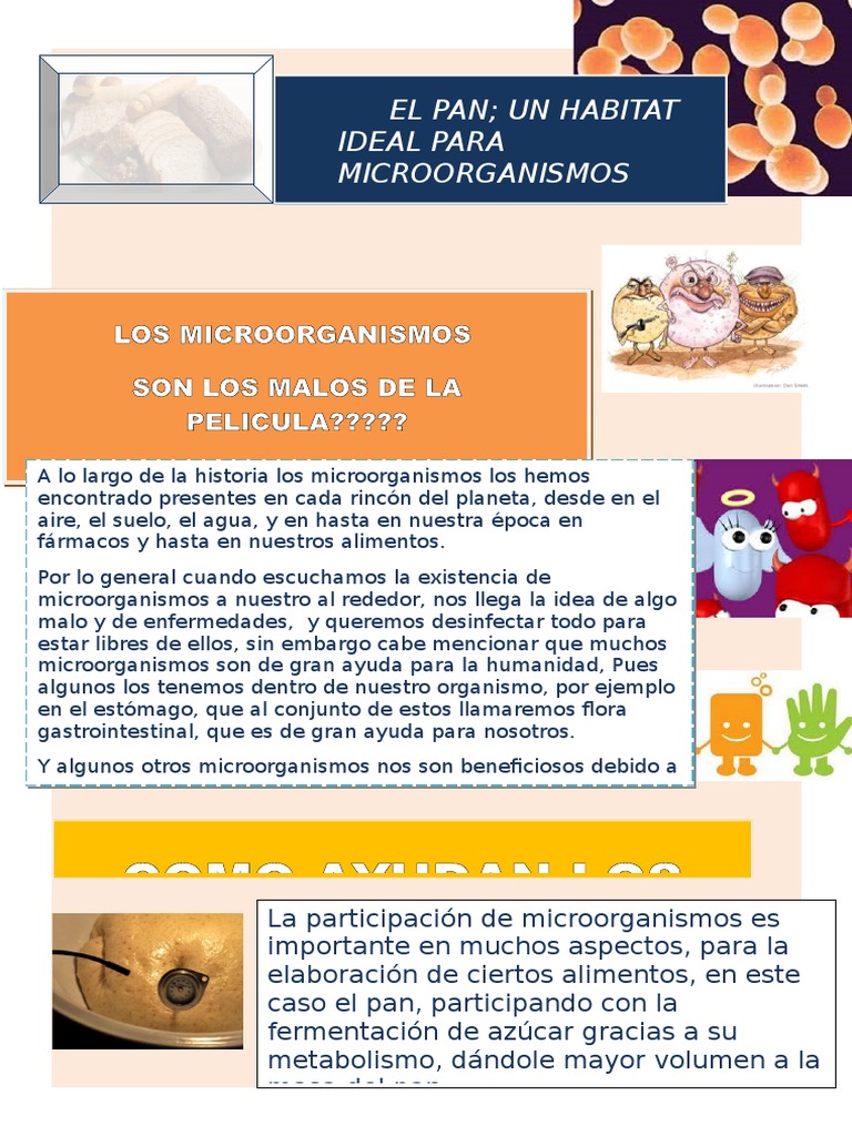 015 El Pan, Un Habitat Ideal para Los Microorganismos | PDF | Panes ...