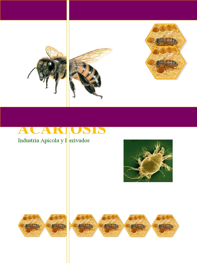 Acariosis | PDF | Naturaleza | Bienestar