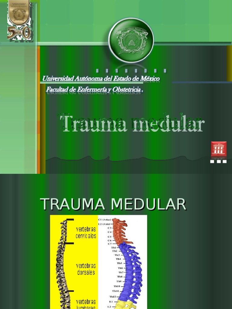 Trauma Medular | PDF | Médula espinal | Lesión