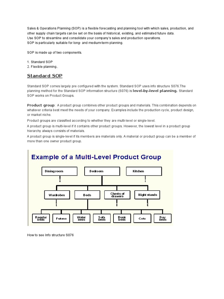 Streamlining Sales and Operations Planning Through Standard SOP: A Step ...
