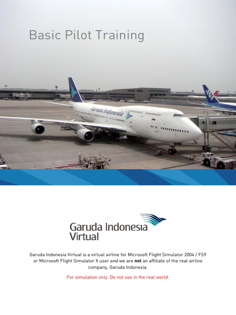 Basic Pilot Training | PDF