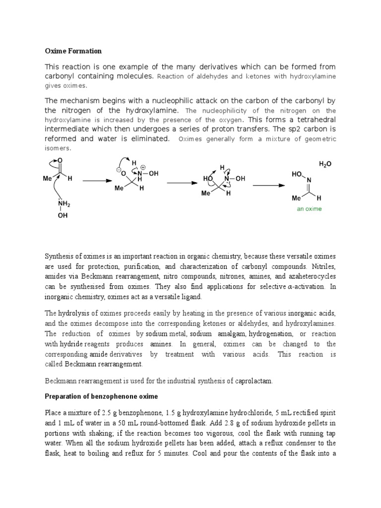 Oxime Formation | PDF | Organic Chemistry | Chemistry