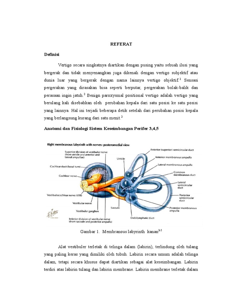 Referat Vertigo Perifer Bppv