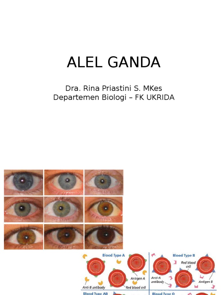 Materi Genetik Alel Ganda | PDF