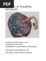 Amsterdam Placental Workshop | PDF | Thrombosis | Placenta