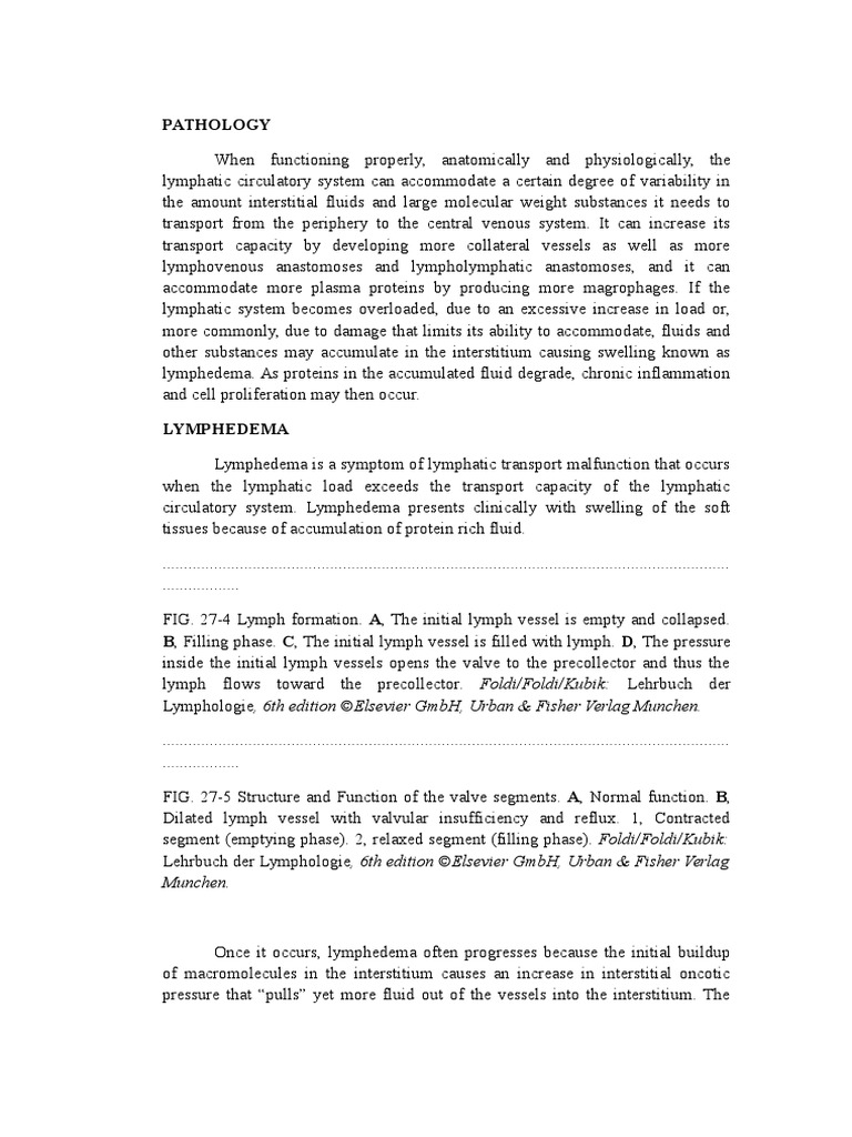 Understanding the Pathophysiology, Stages, and Examination of ...