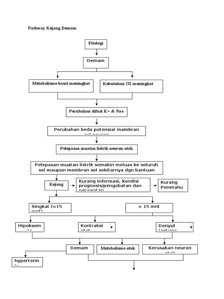 Pathway Kejang Demam | PDF