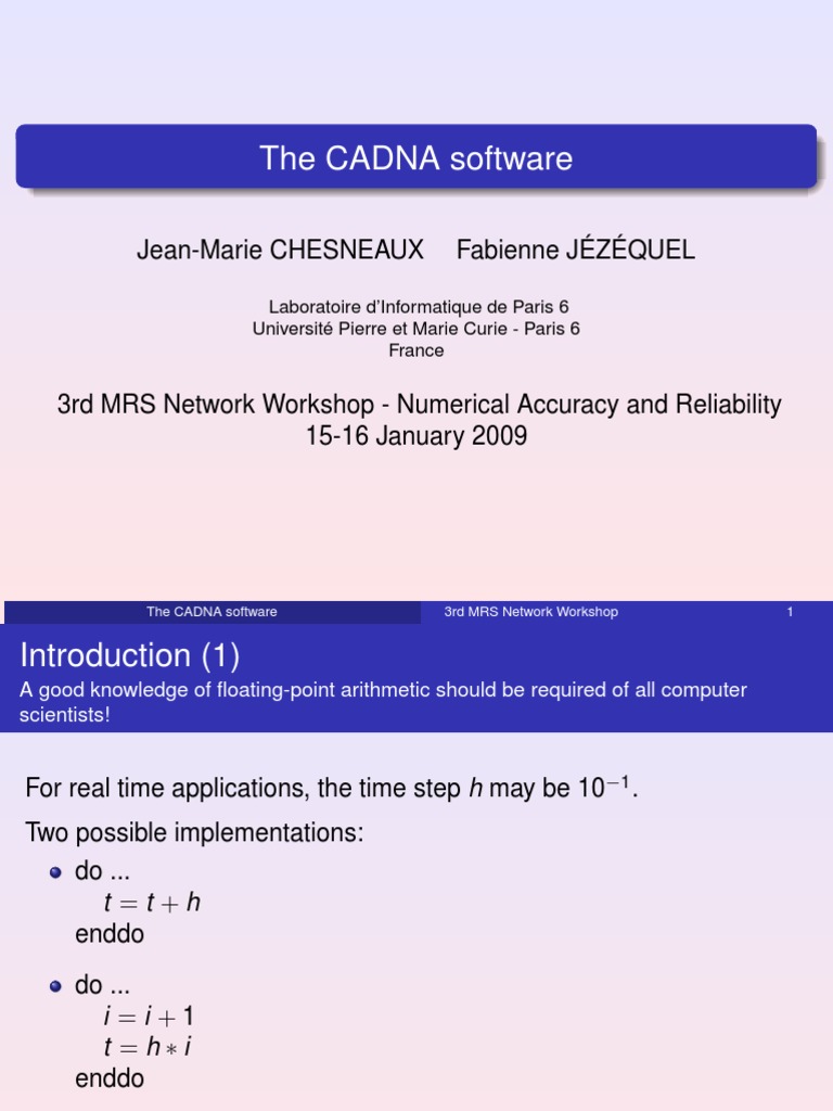 The CADNA Software | PDF | Subroutine | Rounding