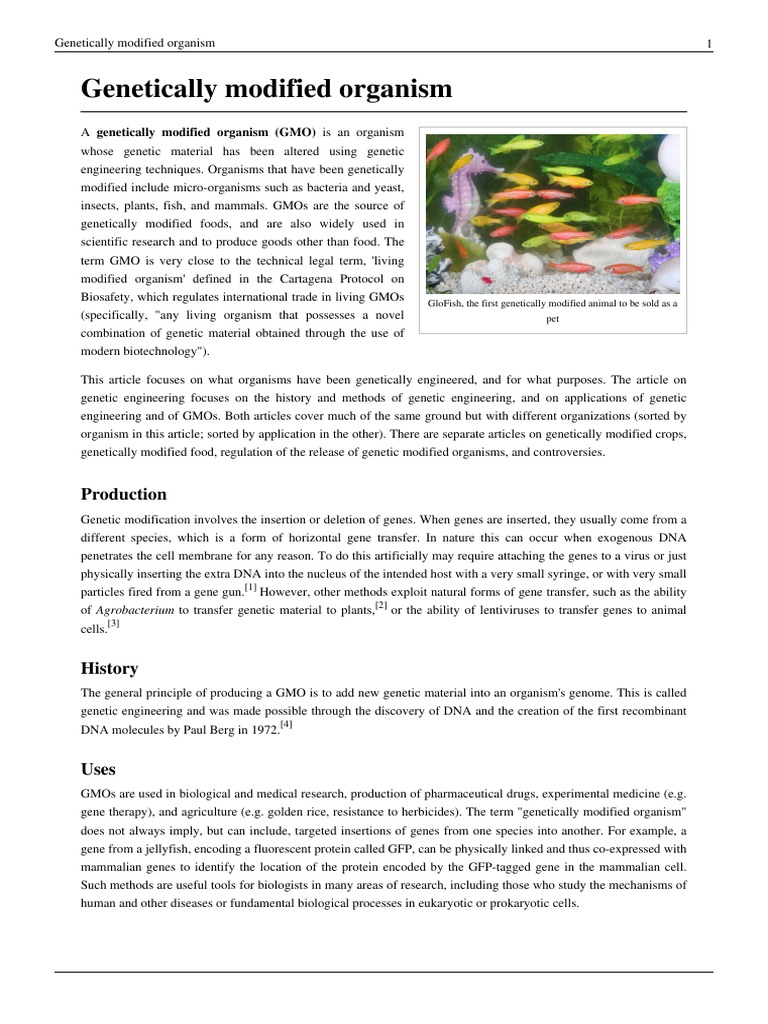 GloFish: First Genetically Modified Pet | PDF | Genetically Modified ...
