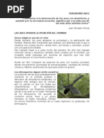 Clasificacion de Las Aves | PDF | Aves | Paravianos