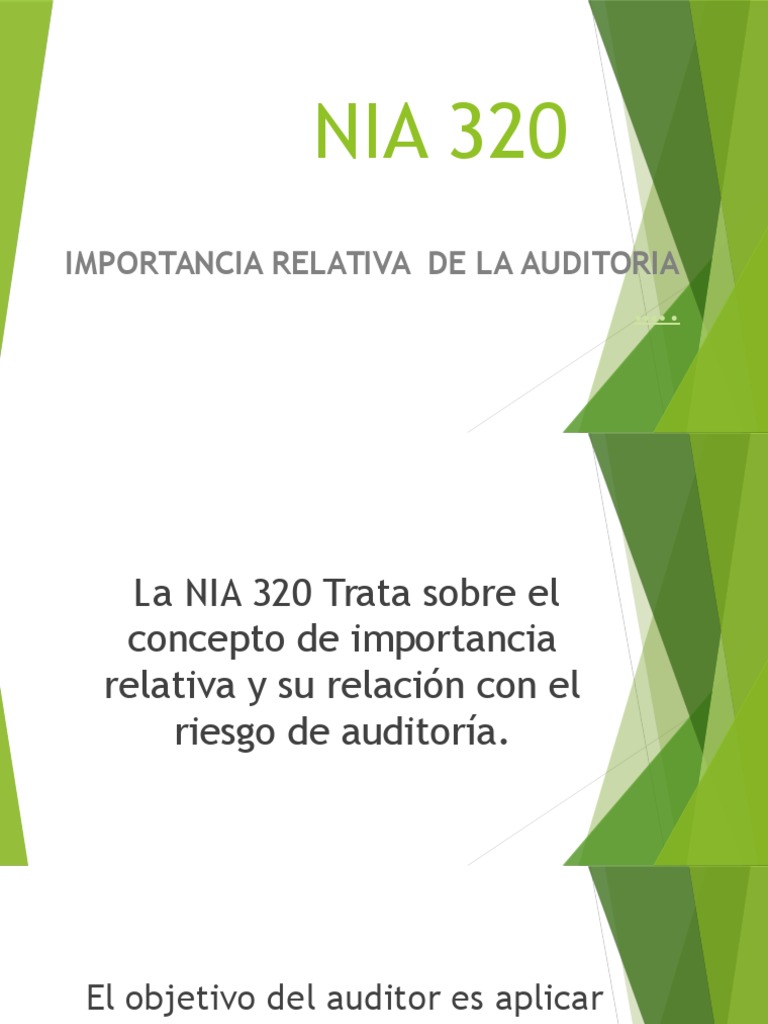 Nia 320-importancia relativa