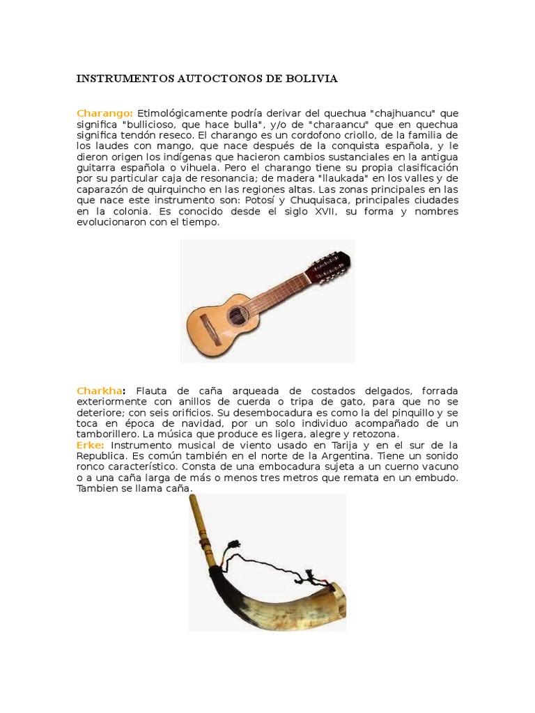 Instrumentos Autoctonos de Bolivia | Instrumentos musicales ...