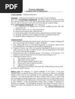 STD 10 Computer Chapter 1 Introduction To HTML | PDF | World Wide Web ...