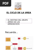 La Síntesis de La UREA | PDF | Urea | Sustancias químicas