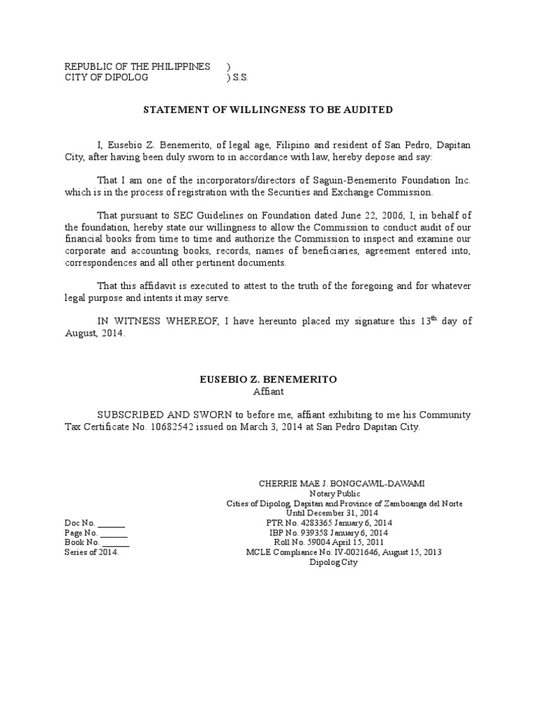 Statement of Willingness to be Audited | PDF | Affidavit | U.S ...